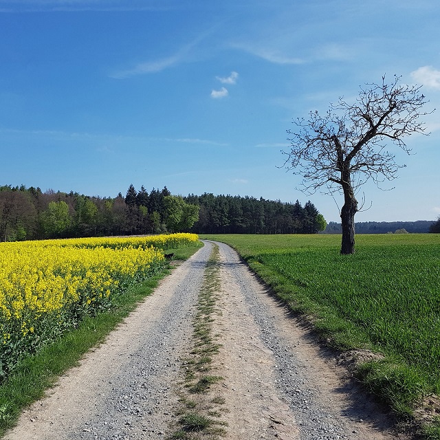 Lummur - Isländische Pfannkuchen | Abenteuersammlerin