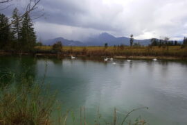(M)eine Wanderung durch das Loisach-Kochelsee-Moor - Abenteuersammlerin